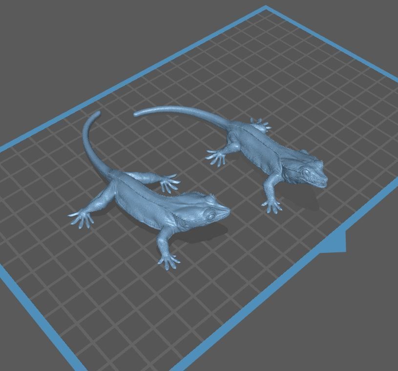 Crested Gecko Lizard Pet 3D Print Model 3D model 3D printable | CGTrader