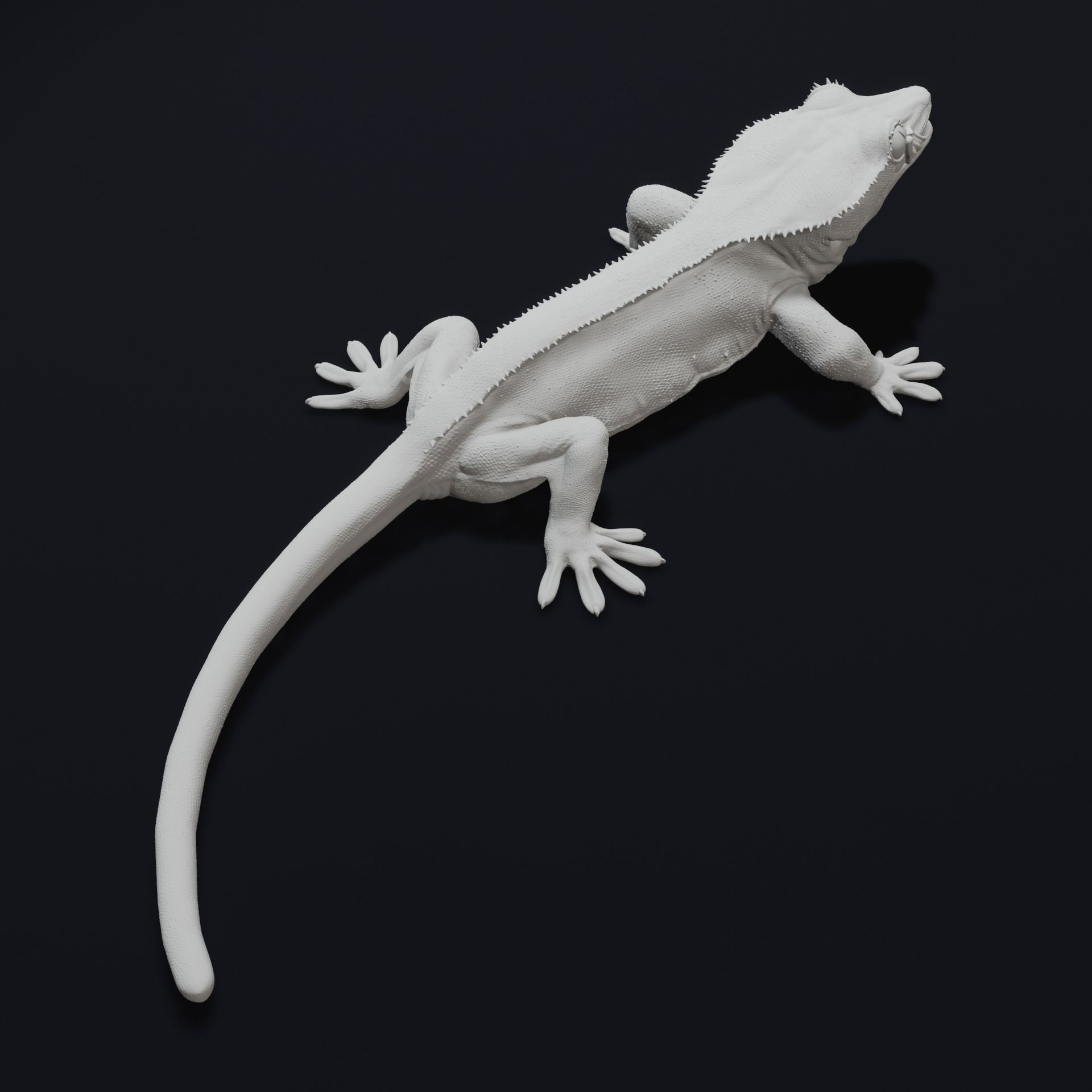 Crested Gecko Lizard Pet 3D Print Model 3D model 3D printable | CGTrader