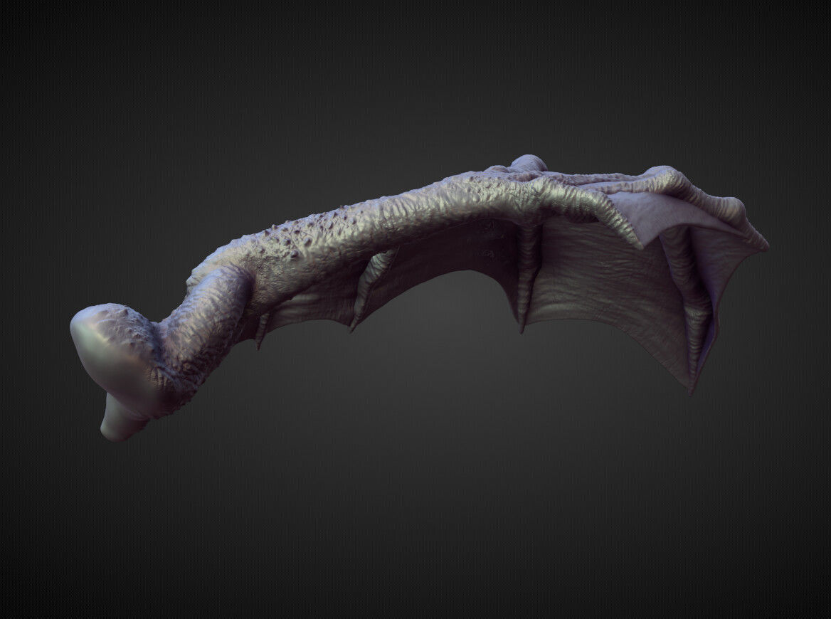 WING2 high poly sculpt 3D model | CGTrader
