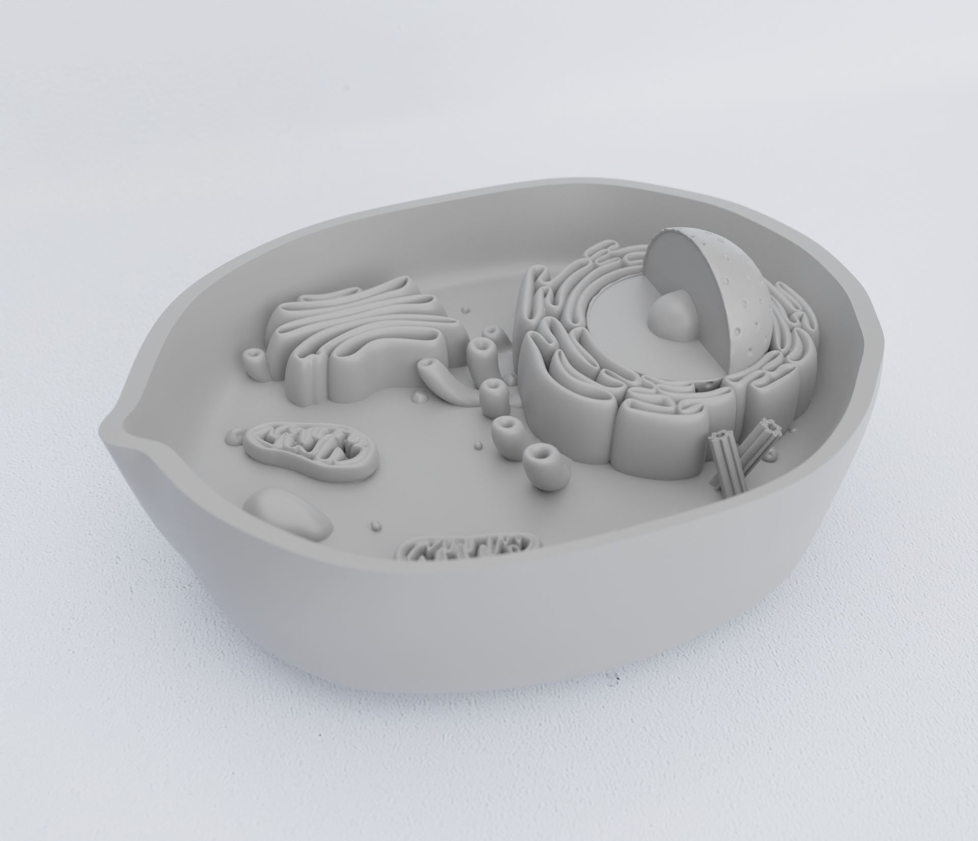 ANIMAL CELL 3D model 3D printable | CGTrader