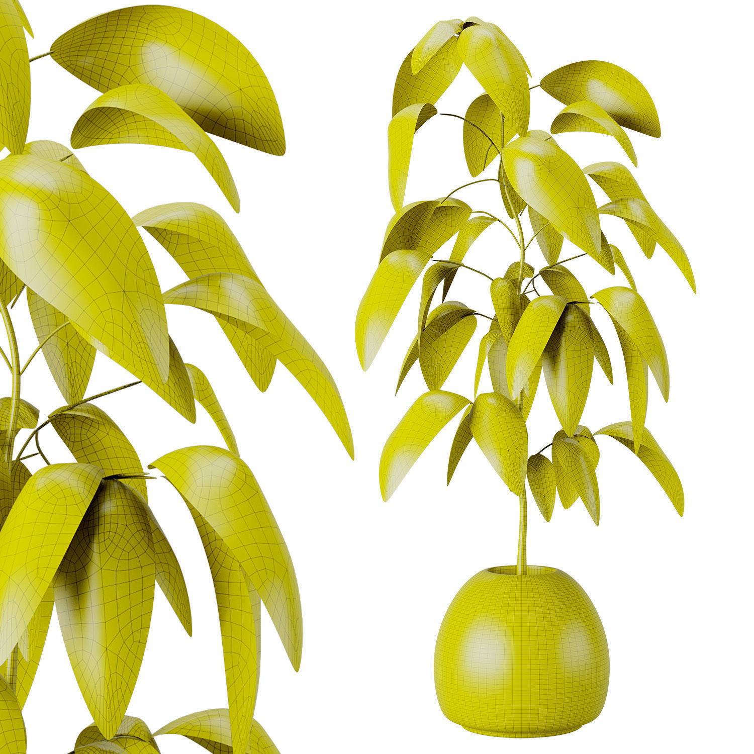 3D model Plant Basil VR / AR / low-poly | CGTrader