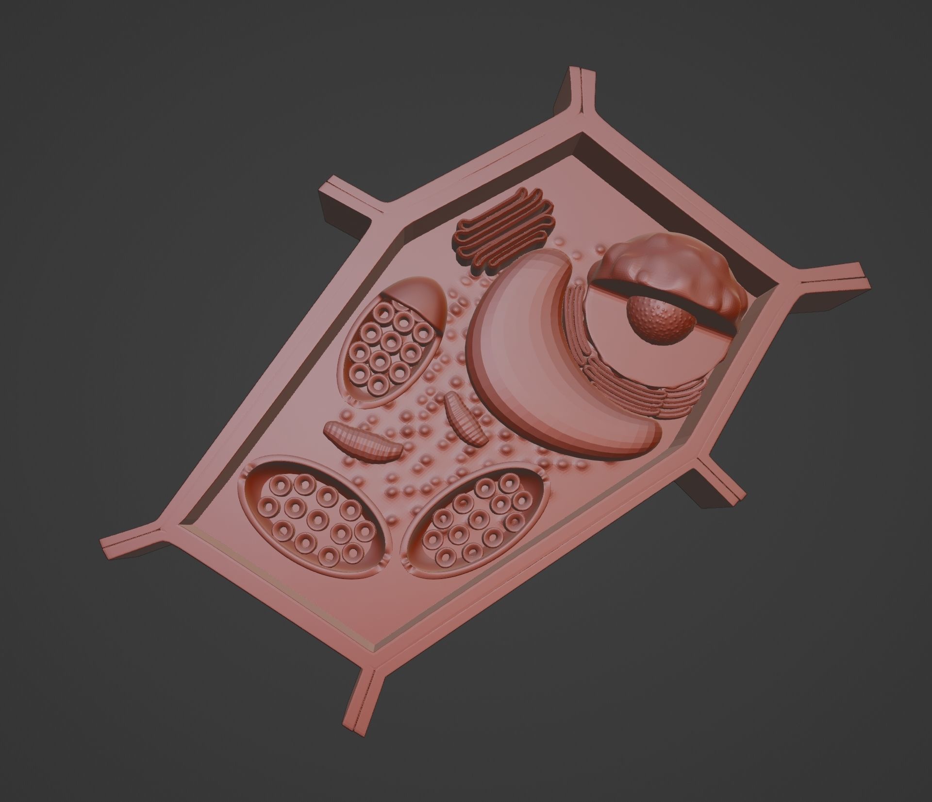 Cell Vegetables 3D model 3D printable | CGTrader
