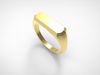 Signet ring Special 3D MODEL 3D model 3D printable | CGTrader