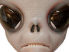 3D Alien Head 3D model rigged | CGTrader