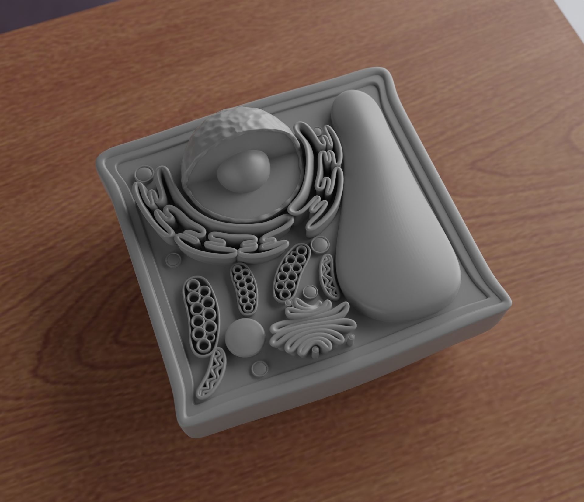 Cell Vegetables 3D model 3D printable | CGTrader