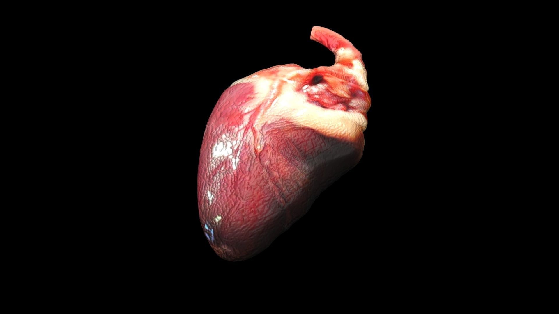 Chicken Heart 3D model | CGTrader
