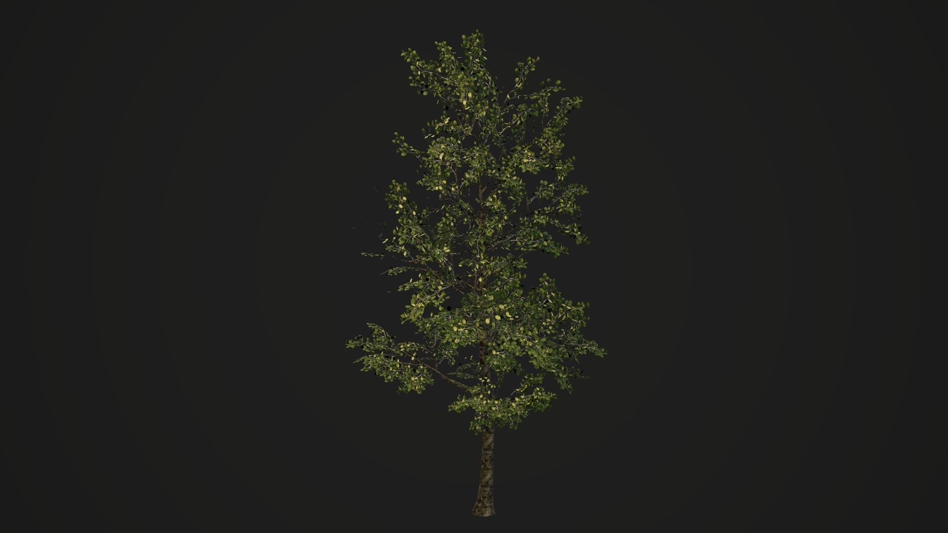 3D model Realistic Tree 3D model Low-poly 3D model VR / AR / low-poly ...