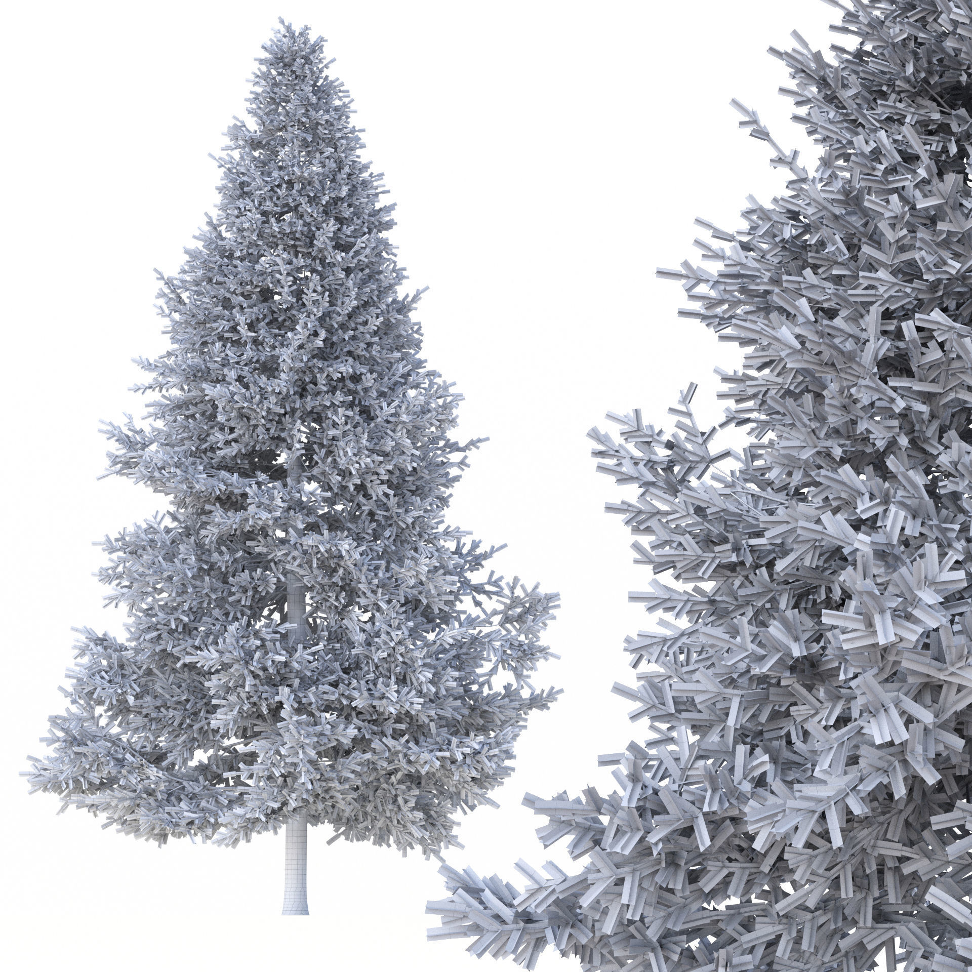 Picea Tree No 2 3D model | CGTrader