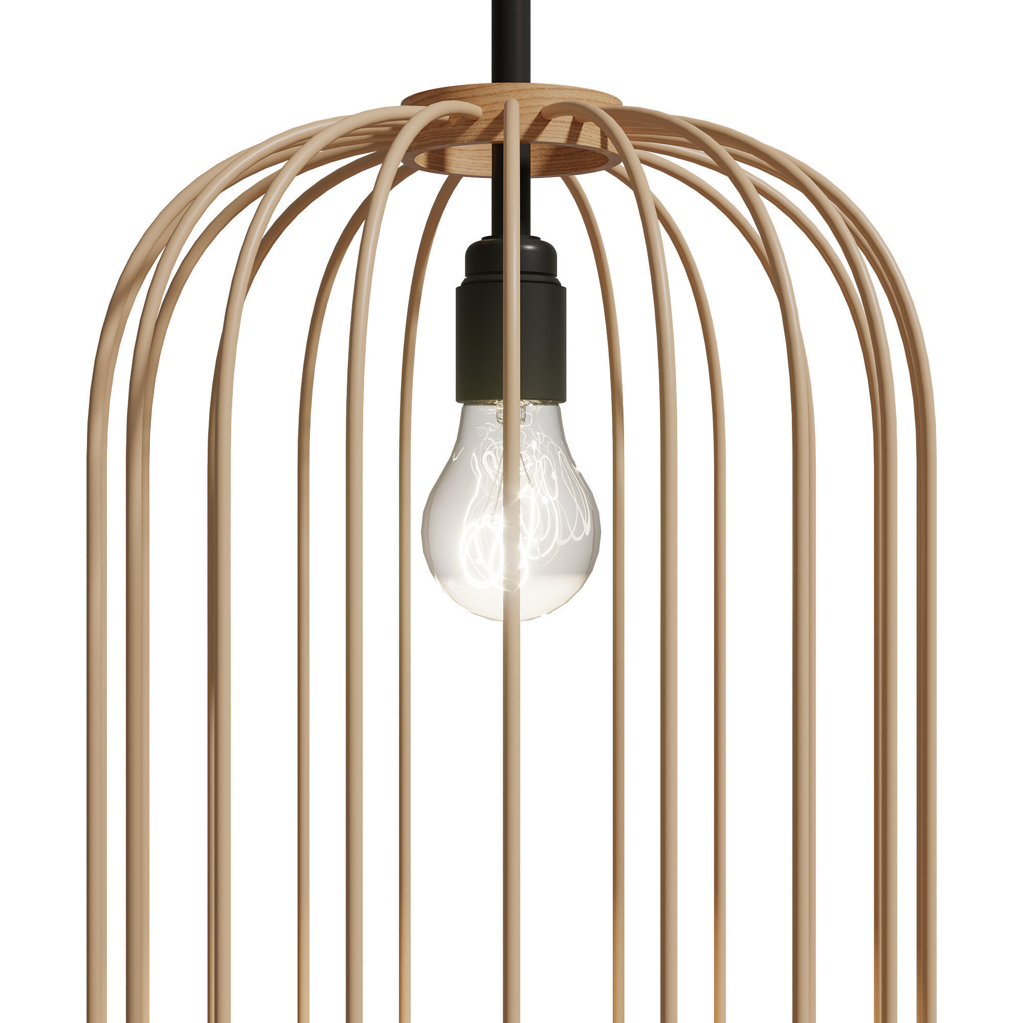 Puins Ceiling Lighting Bird Cage Planter 3D model | CGTrader