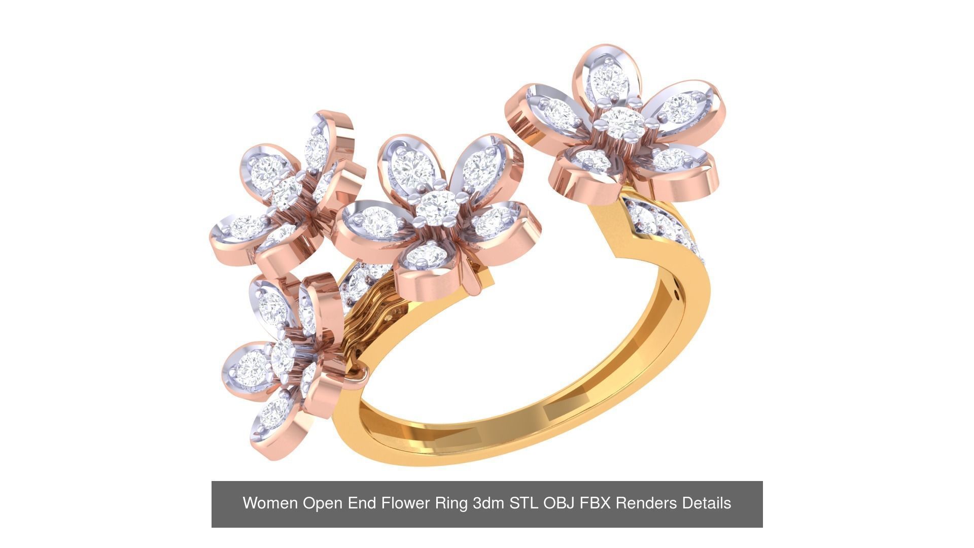 20 Women Open End Ring 3dm STL OBJ FBX Render Details Collection | CGTrader