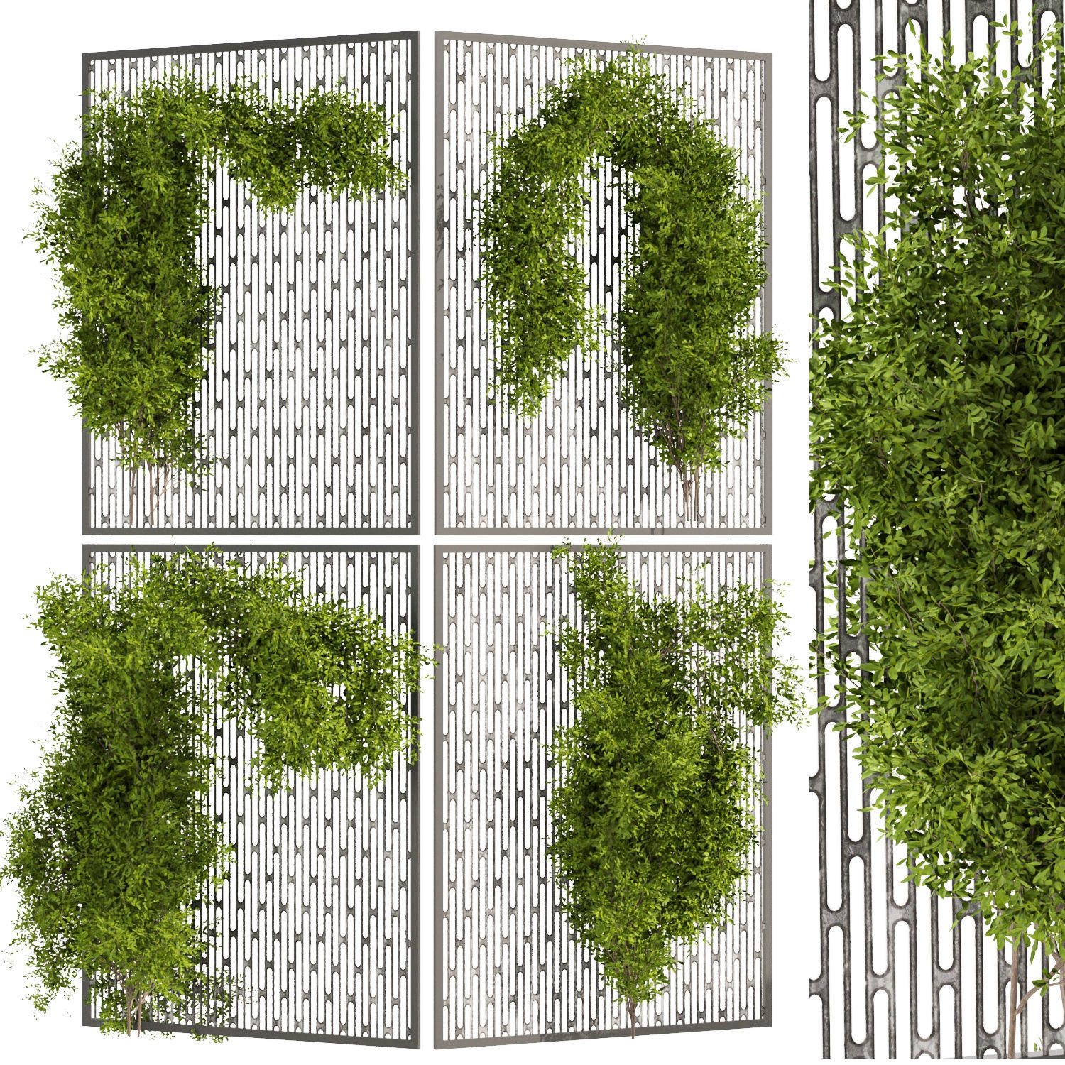 Collection plant vol 472 - bush - leaf - fitowall - ivy 3D model | CGTrader