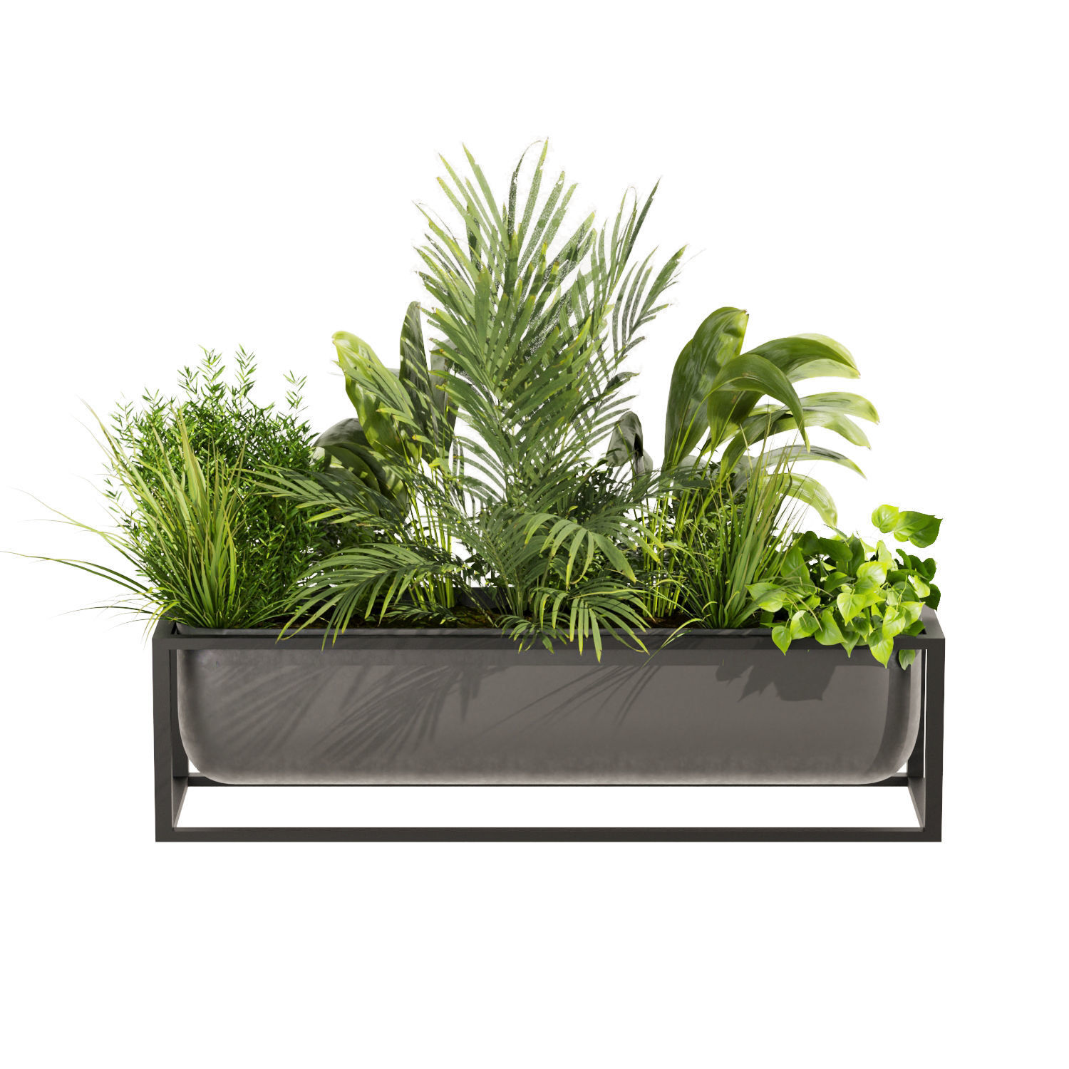 Collection plant vol 473 - palm - grass - boxplant - banana 3D model | CGTrader