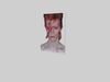 3D model David Bowie portrait VR / AR / low-poly | CGTrader
