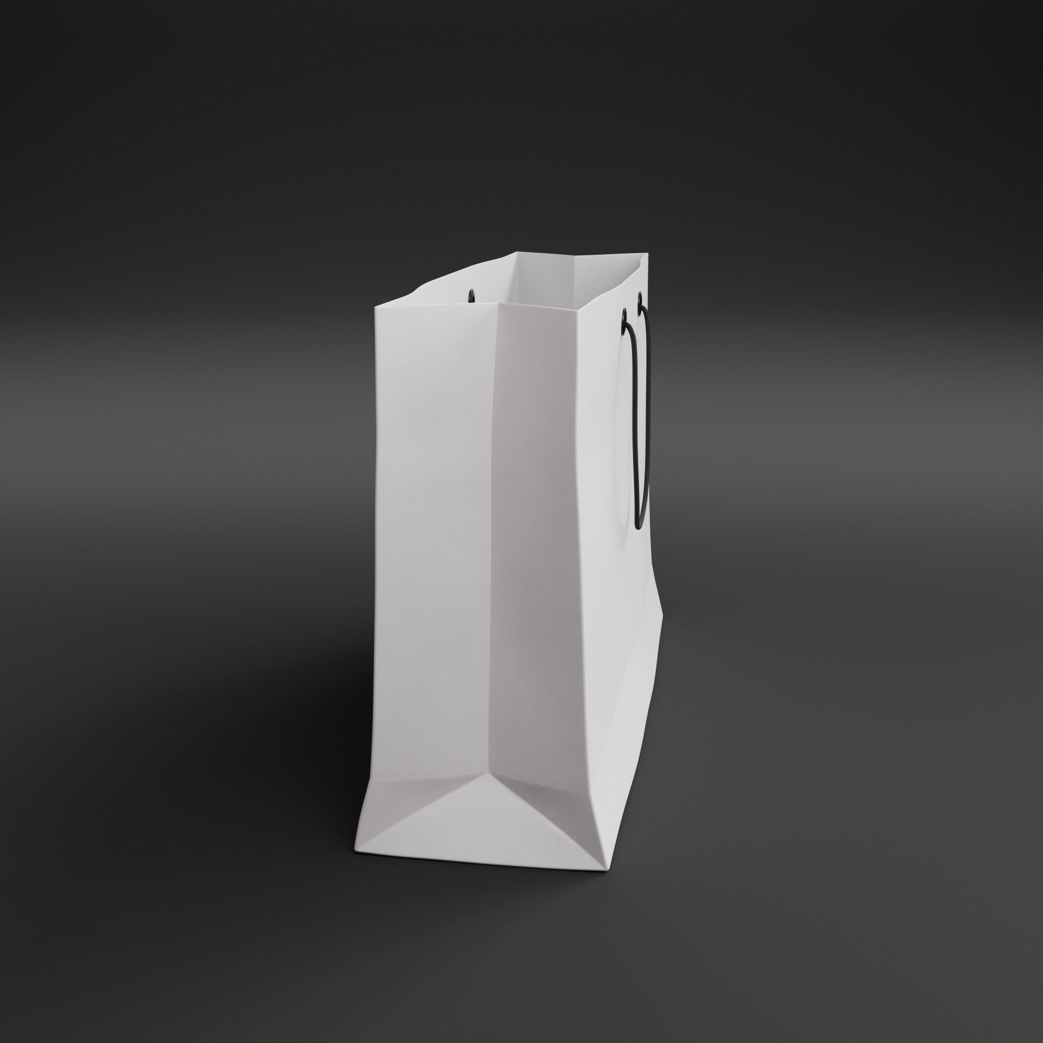 Shopping Bag 2 3D model | CGTrader