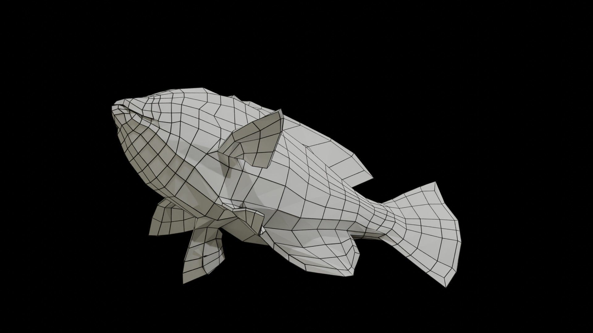 3D Model Collection Lowpoly Freshwater Fish VR / AR / low-poly | CGTrader