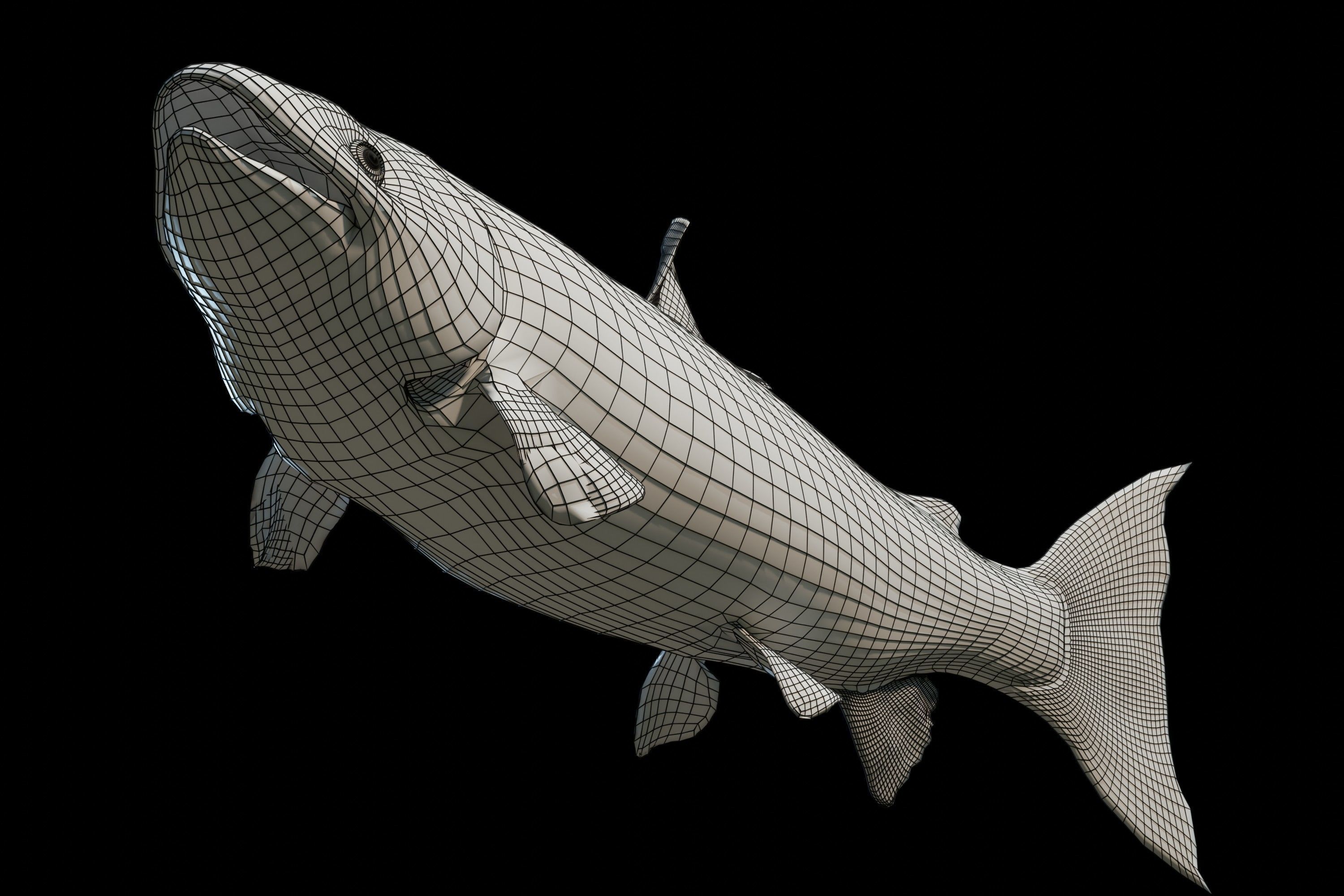 3D Model Collection Lowpoly Freshwater Fish VR / AR / low-poly | CGTrader