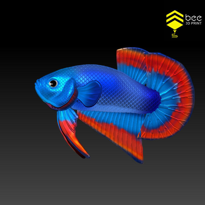 Betta Fish 2 - Ready for 3D print 3D model 3D printable | CGTrader