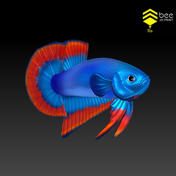 Betta Fish 2 - Ready for 3D print 3D model 3D printable | CGTrader