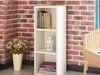 Skye Zboard Paperboard Standard Bookcase free 3D model | CGTrader