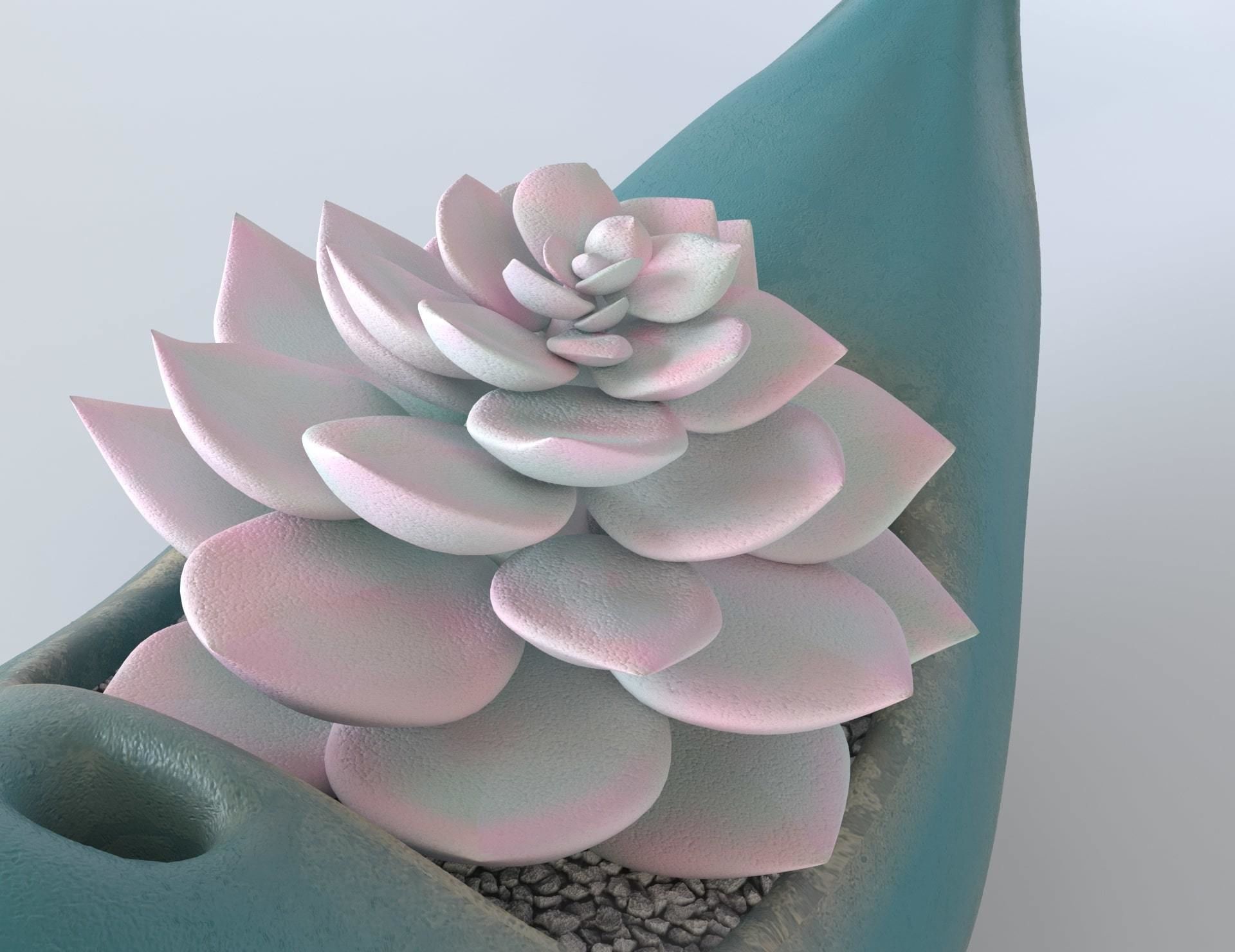 Flower-pot whale 3D model | CGTrader