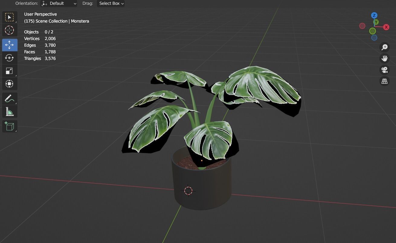 Monstera plant free 3D model | CGTrader