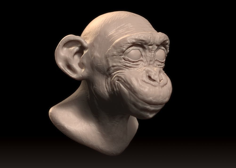 Bust of a Baby Chimpanzee 3D model 3D printable | CGTrader