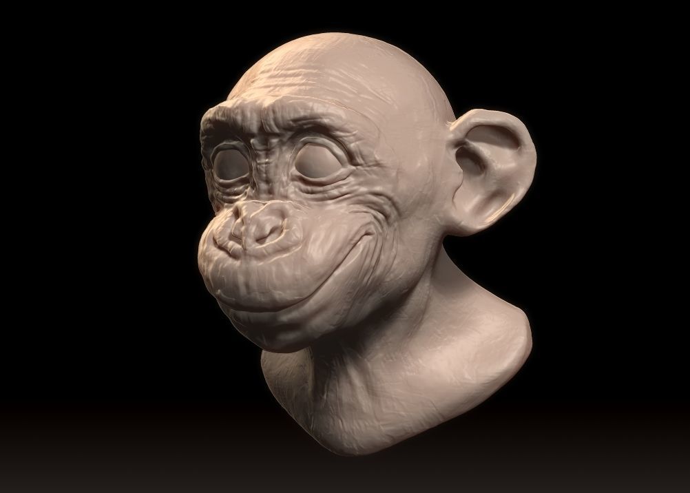 Bust of a Baby Chimpanzee 3D model 3D printable | CGTrader