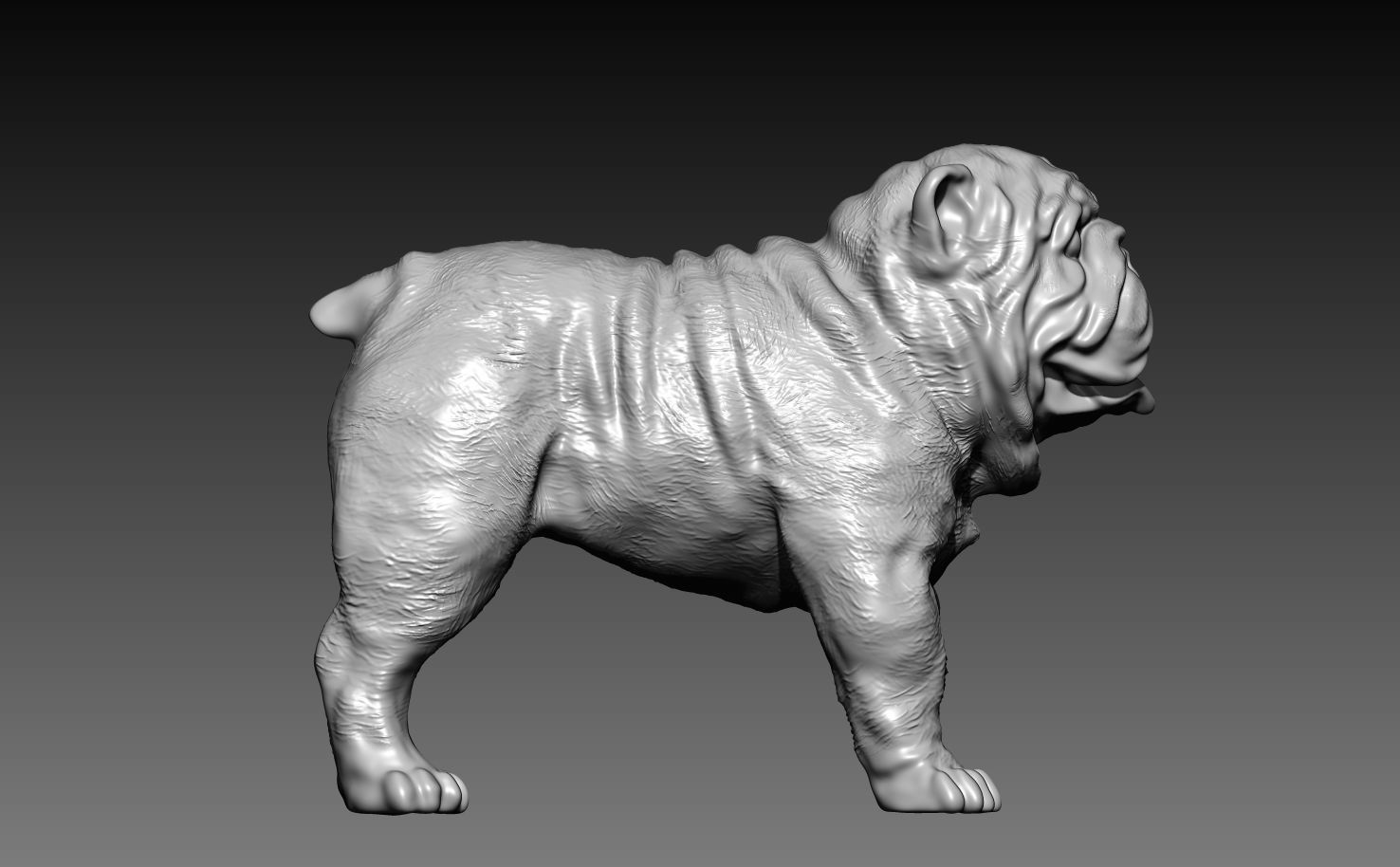 British Bulldog 3D model 3D printable | CGTrader