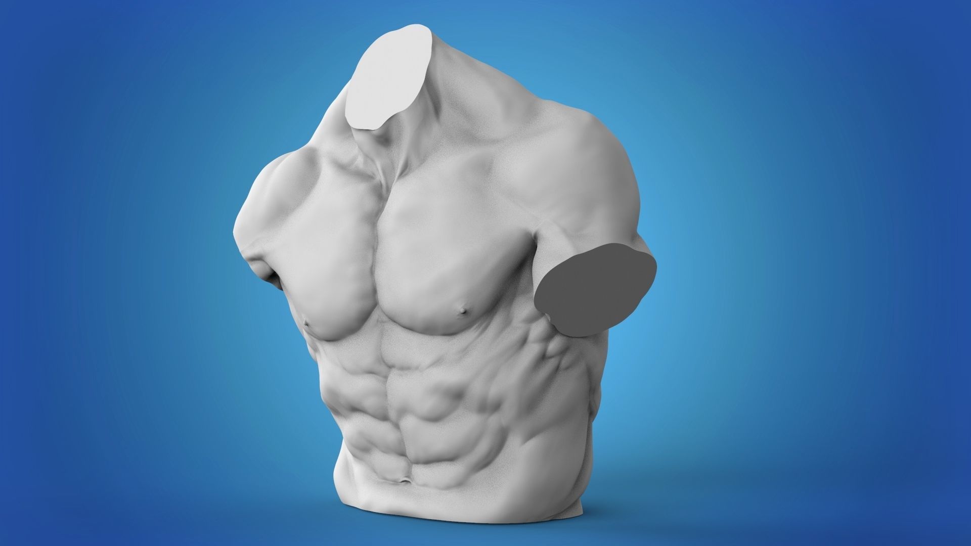 Muscle Man Torso 3D model 3D printable | CGTrader