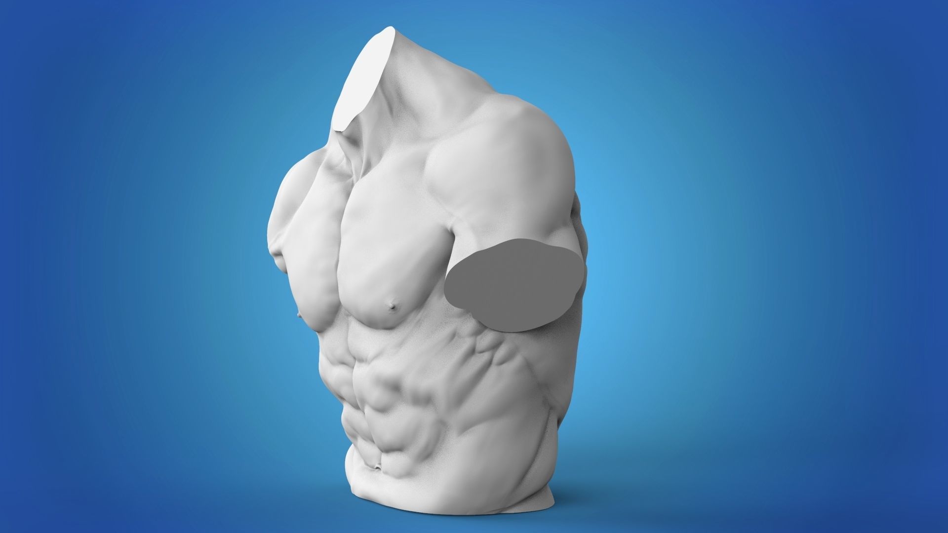 Muscle Man Torso 3D model 3D printable | CGTrader