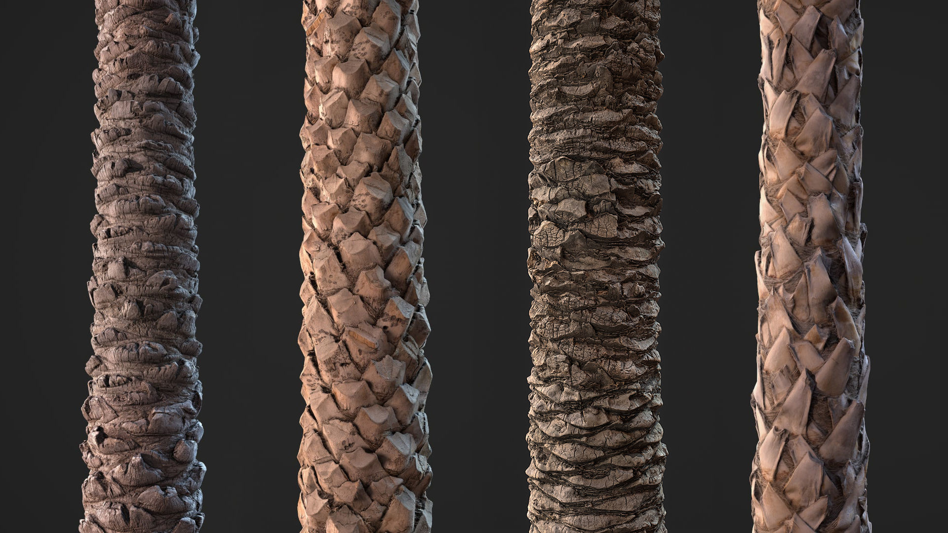 Texture Palm Bark Pack 01 - Stonelake3D VR / AR / low-poly | CGTrader