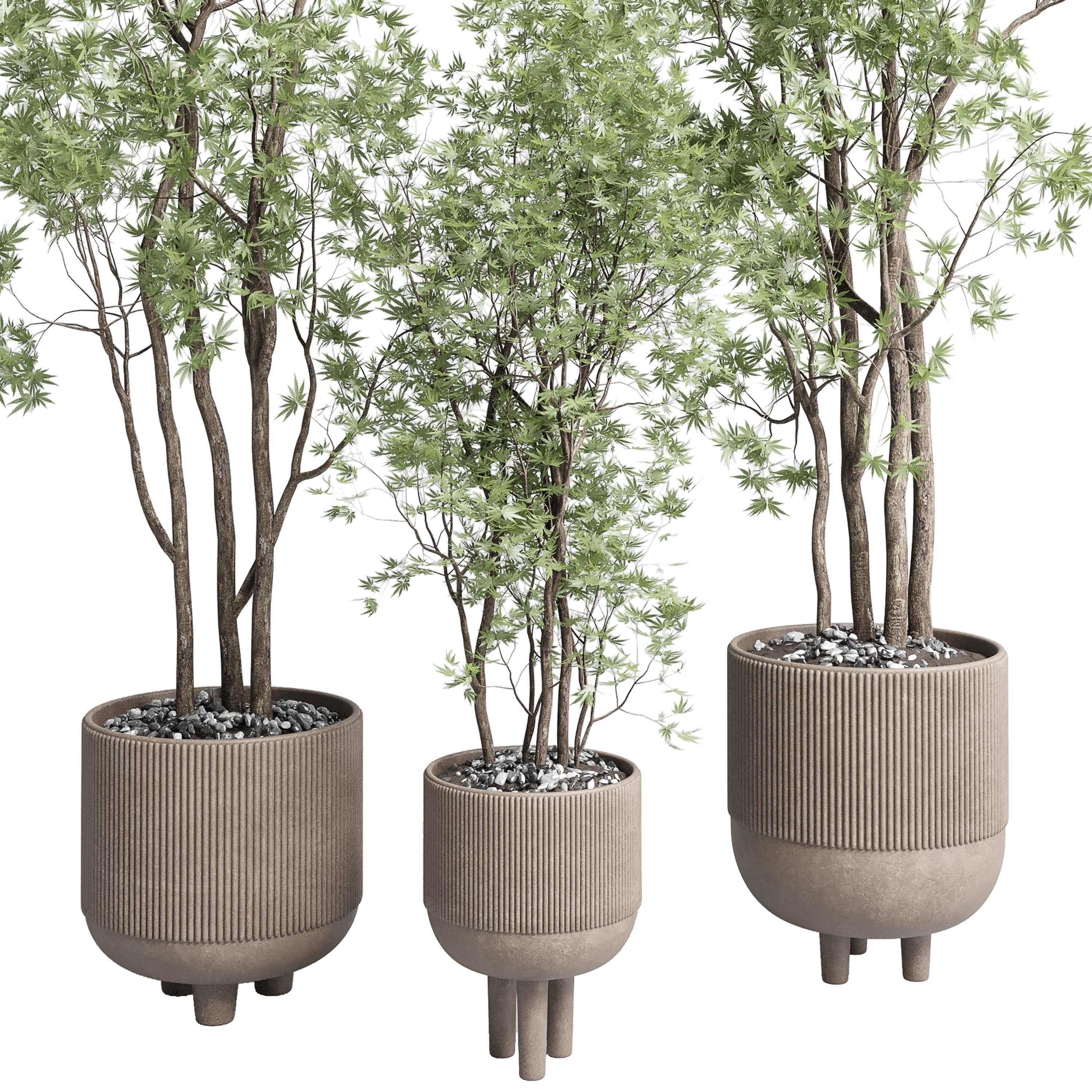 3D model Indoor plant set 360 concrete vase plant tree shrub VR / AR ...