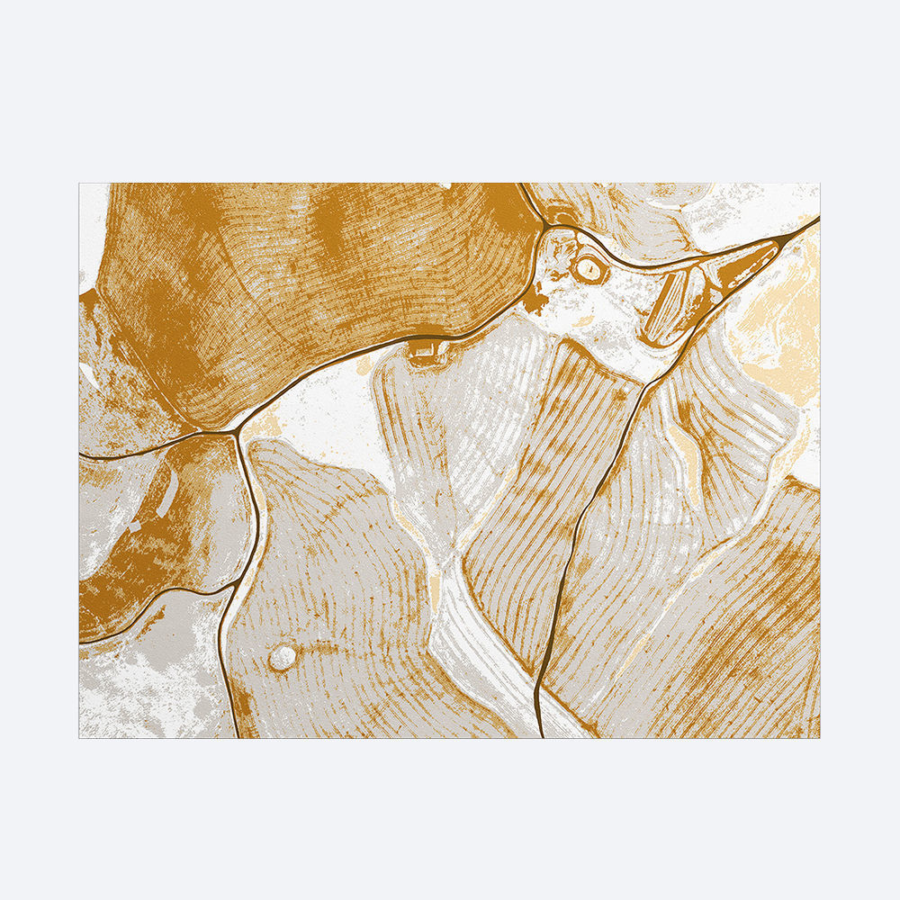 Carpet Birds Eye View free 3D model | CGTrader