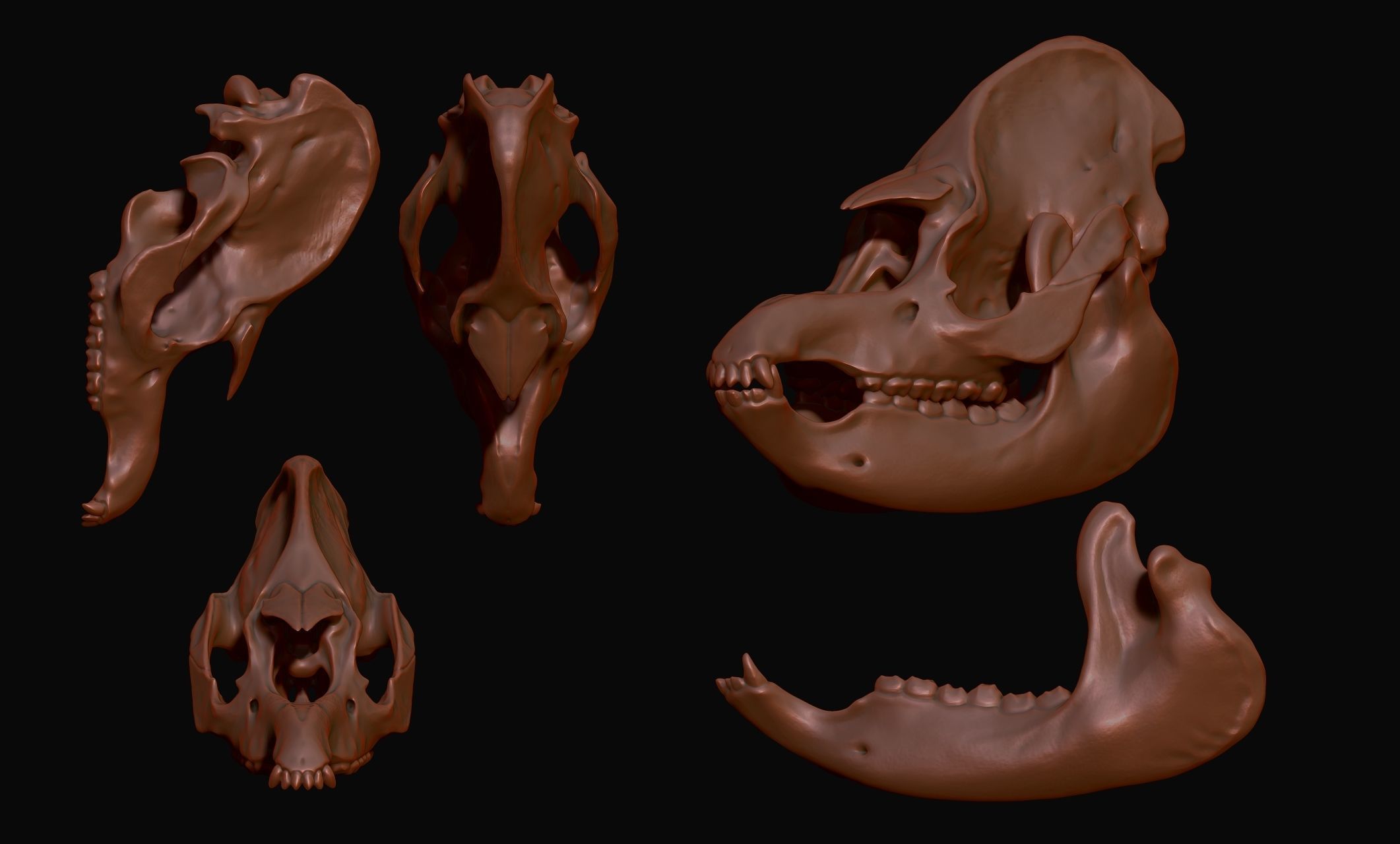 Tapir - Tapirus Skull 3D model 3D printable | CGTrader
