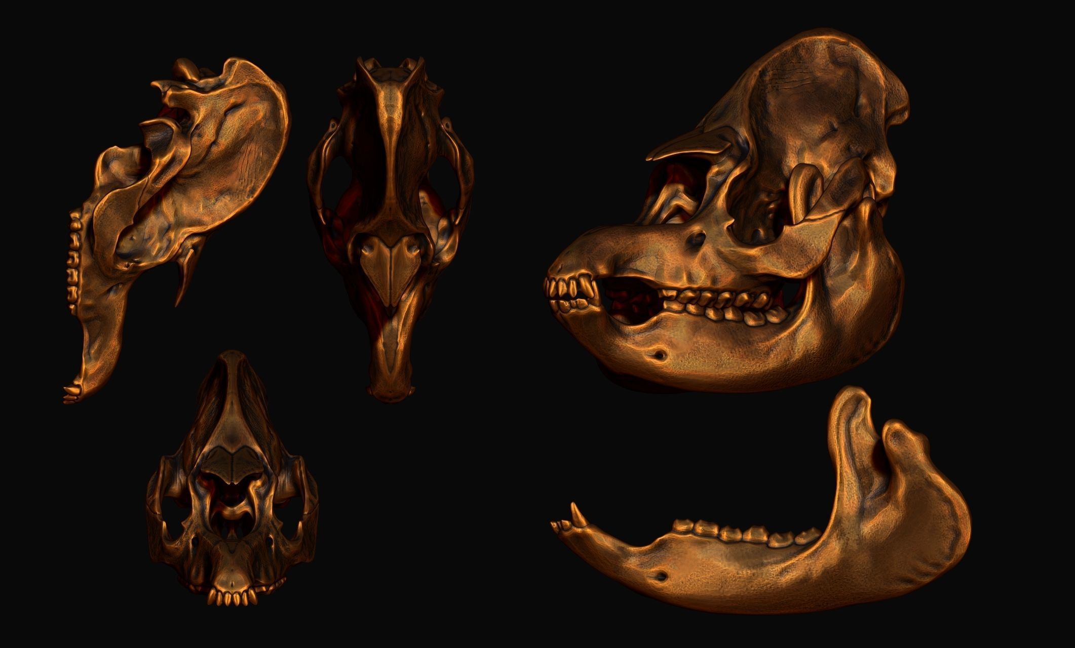Tapir - Tapirus Skull 3D model 3D printable | CGTrader