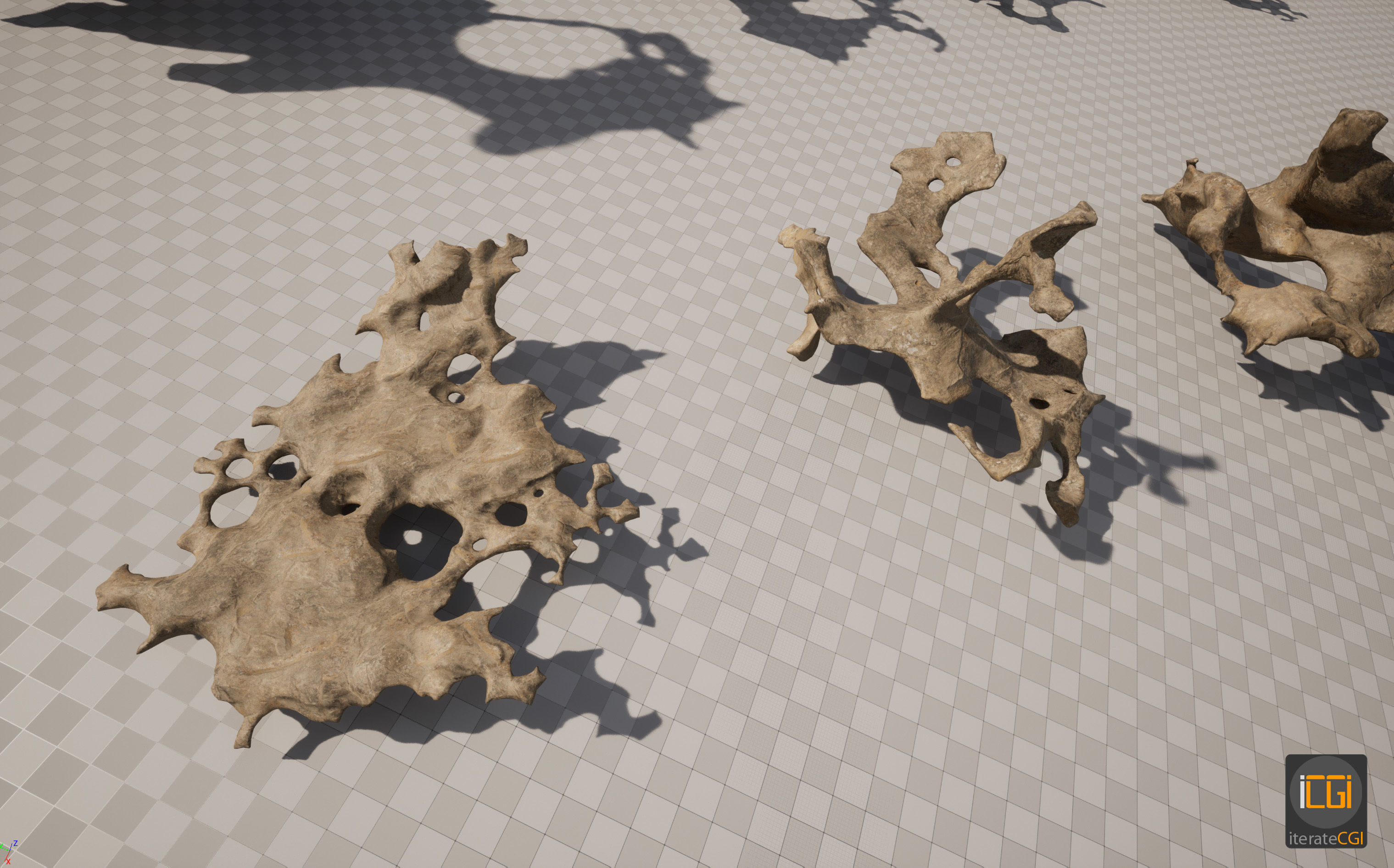 3D model Alien Growth Type1 VR / AR / low-poly | CGTrader