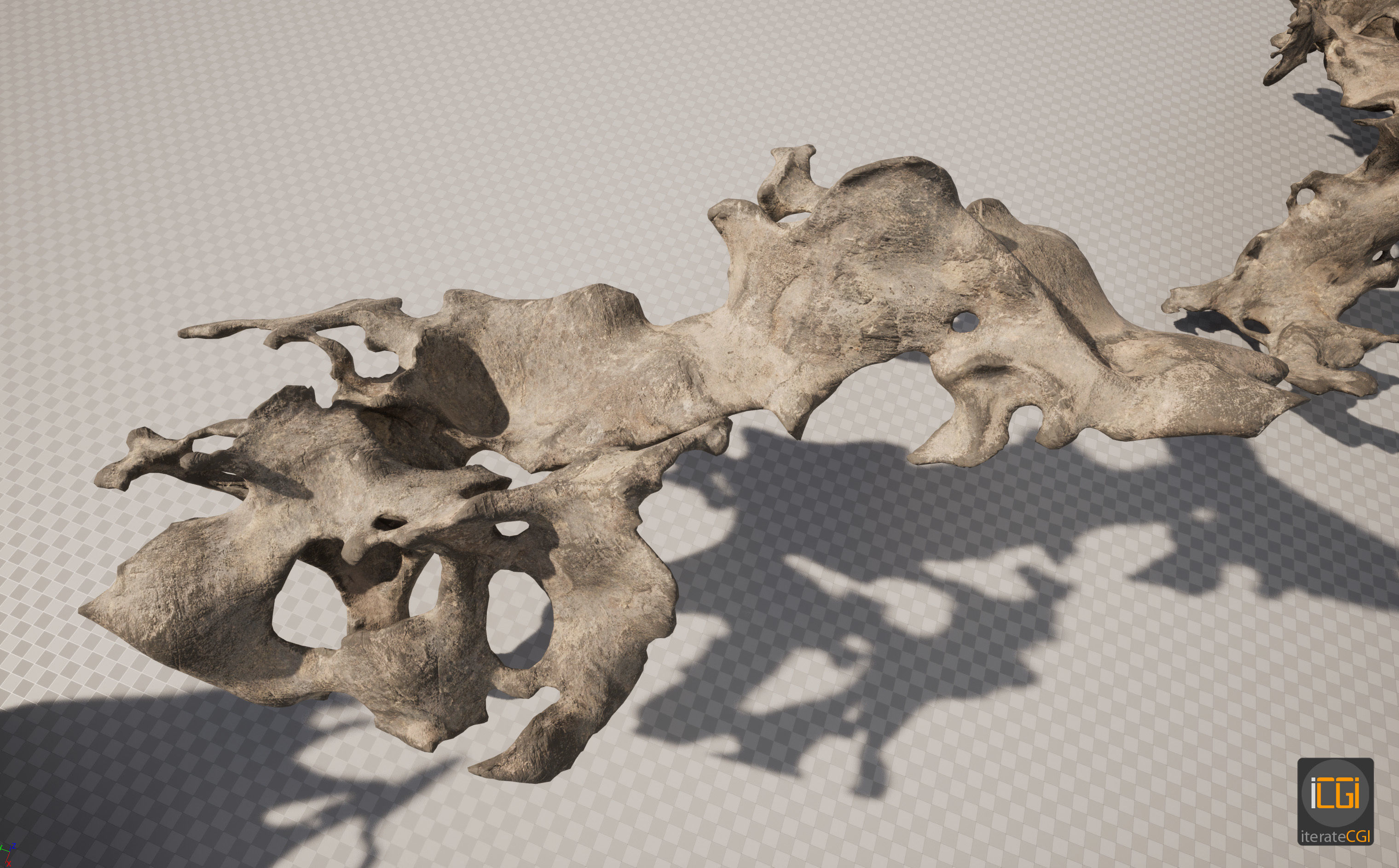 3D model Alien Growth Type1 VR / AR / low-poly | CGTrader