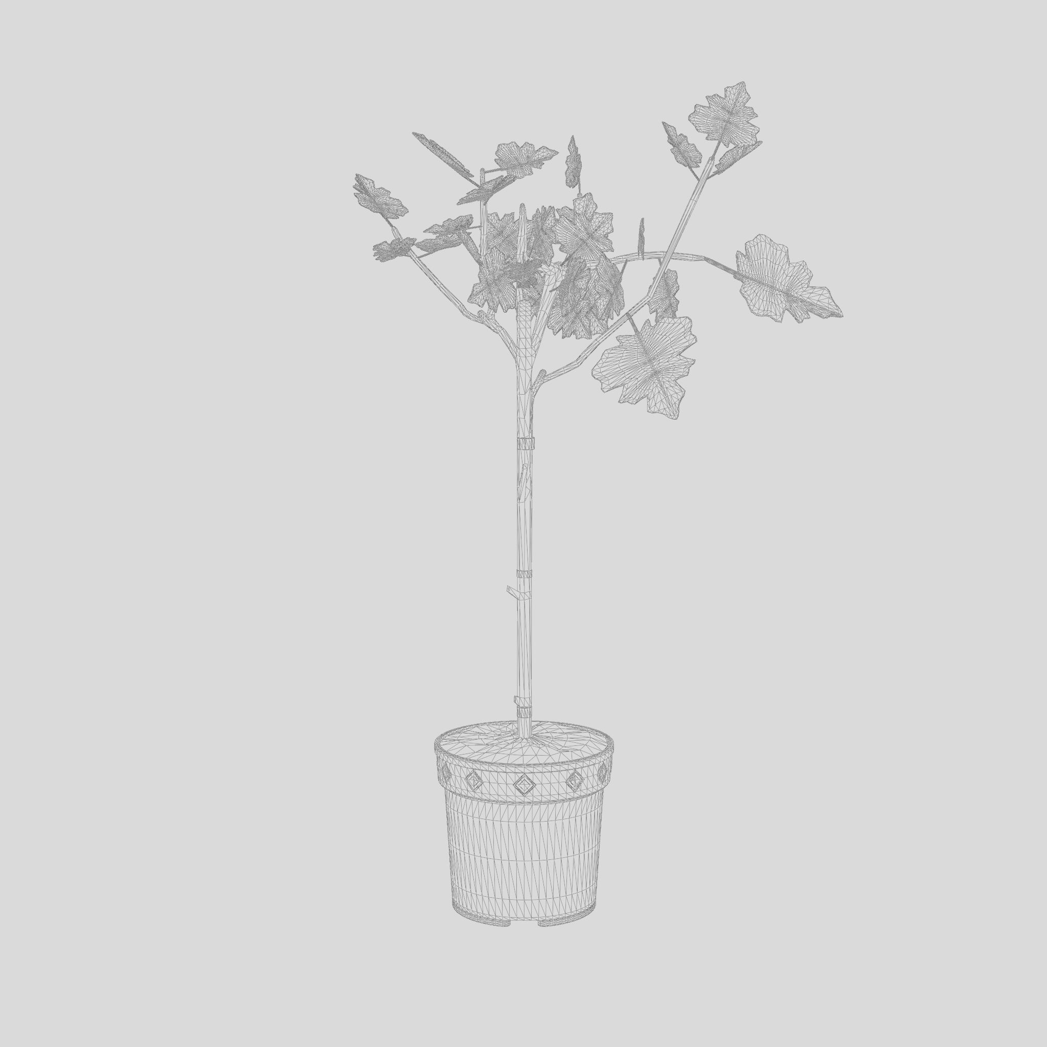 3D model Chinese Banyan Ficus Carica 3D Model VR / AR / low-poly | CGTrader