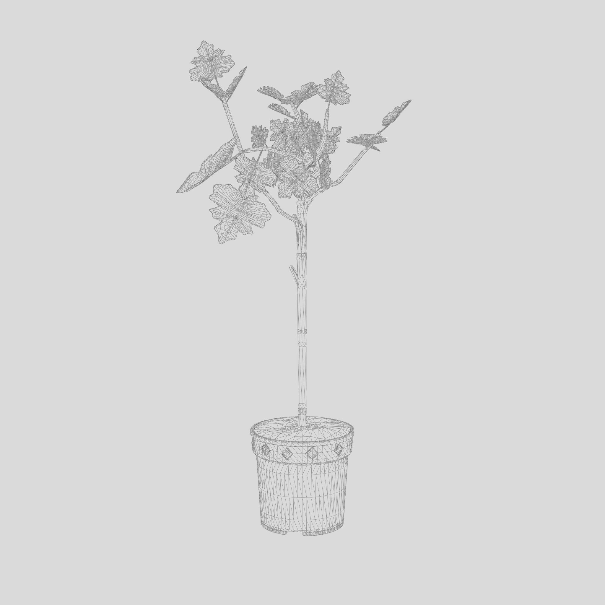 3D model Chinese Banyan Ficus Carica 3D Model VR / AR / low-poly | CGTrader