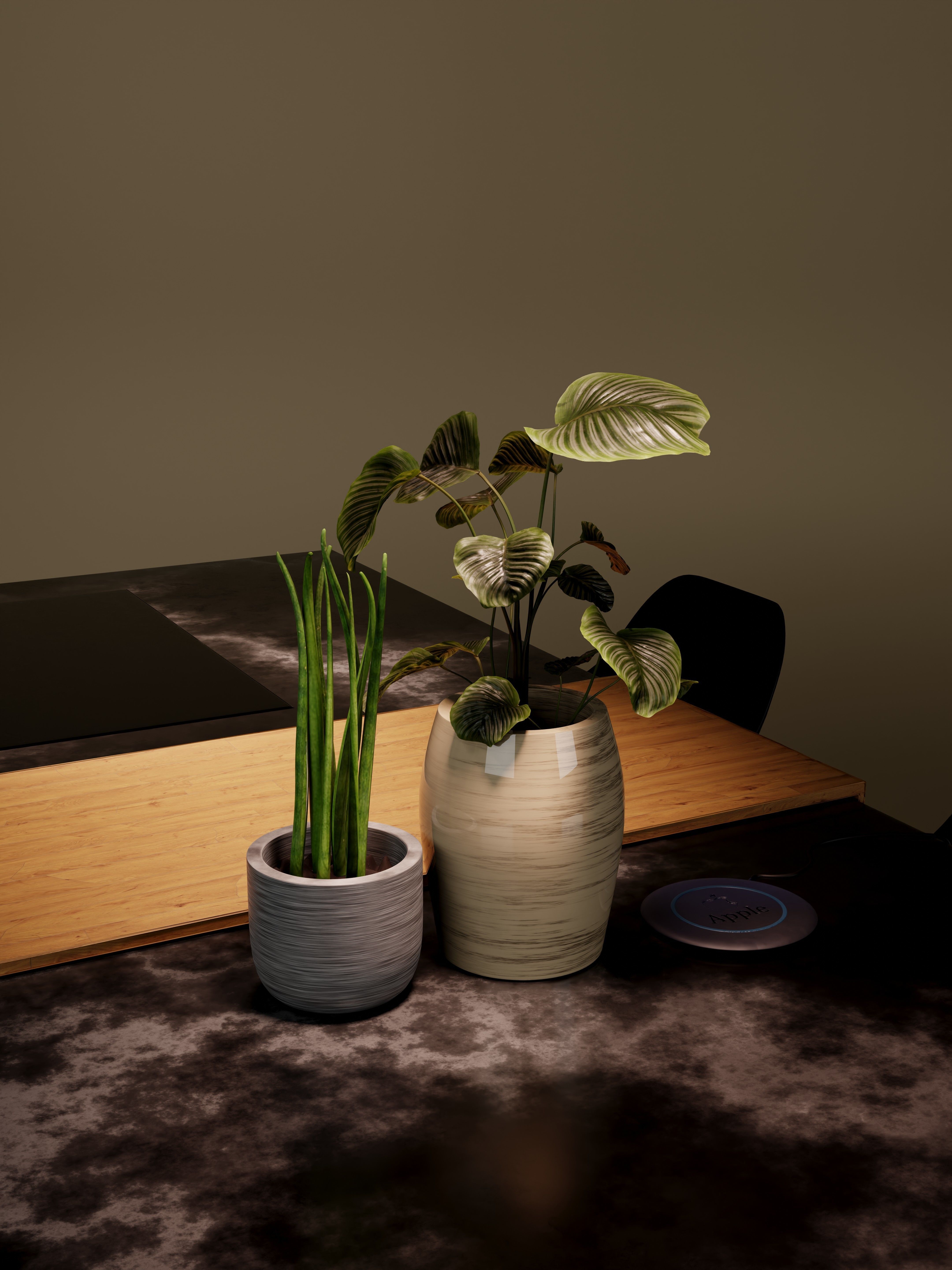 Small indoor plant 3D model | CGTrader