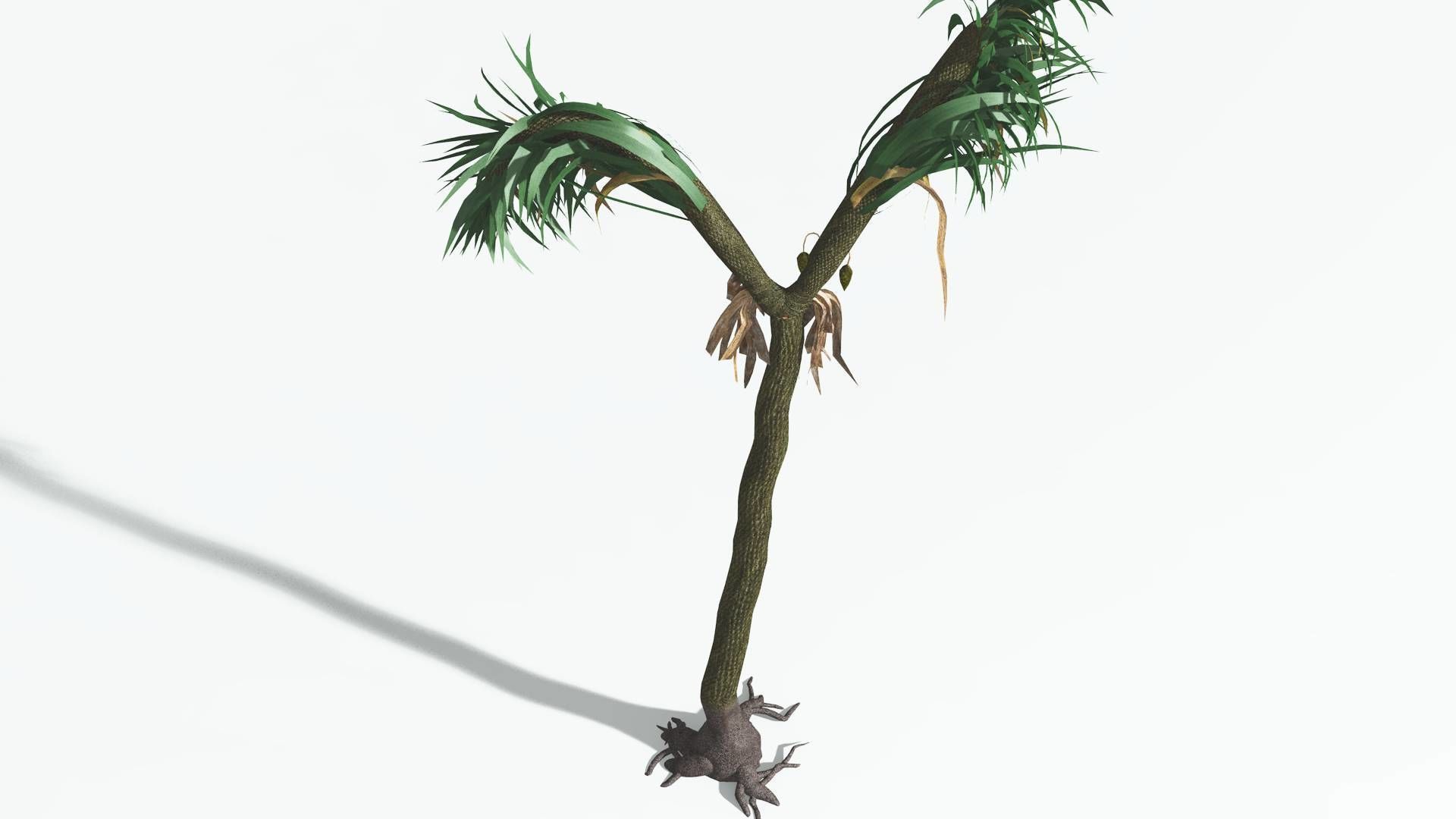 EVERYPlant Lepidodendron Scale Tree 2 --14 Models-- 3D model | CGTrader