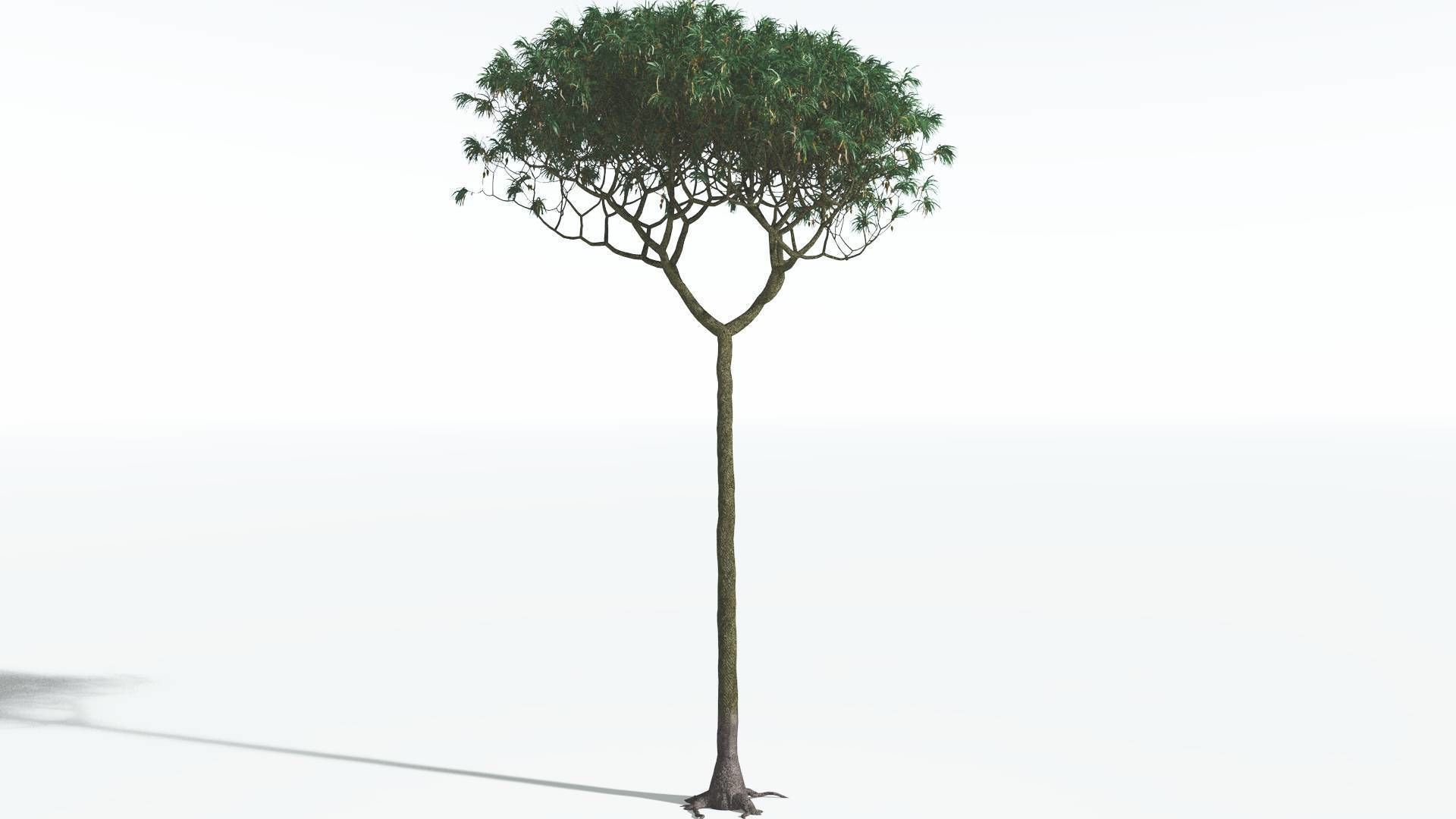 EVERYPlant Lepidodendron Scale Tree 2 --14 Models-- 3D model | CGTrader