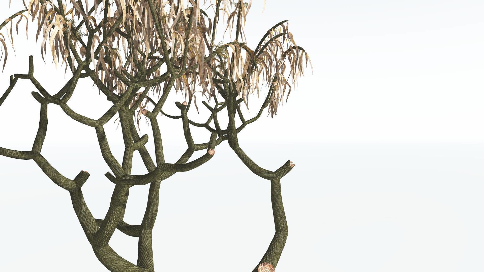 EVERYPlant Lepidodendron Scale Tree 2 --14 Models-- 3D model | CGTrader