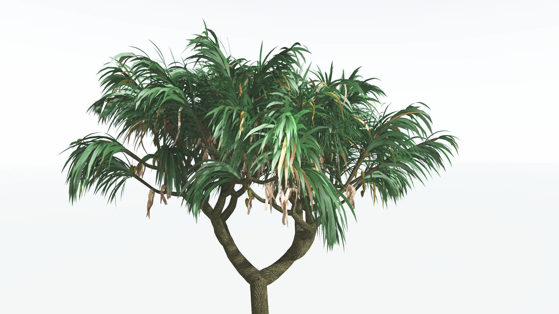 EVERYPlant Lepidodendron Scale Tree 2 --14 Models-- 3D model | CGTrader