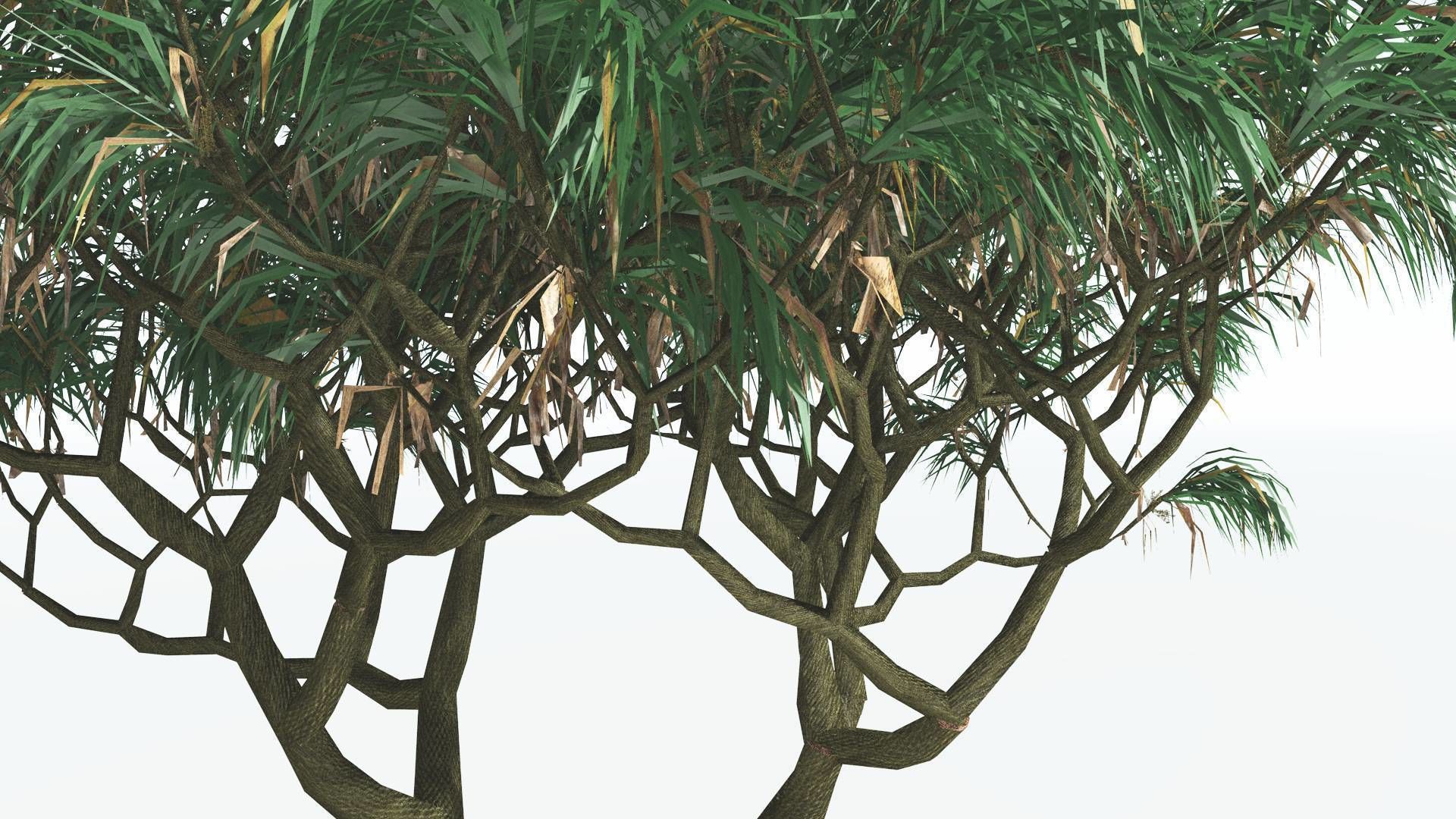 EVERYPlant Lepidodendron Scale Tree 2 --14 Models-- 3D model | CGTrader