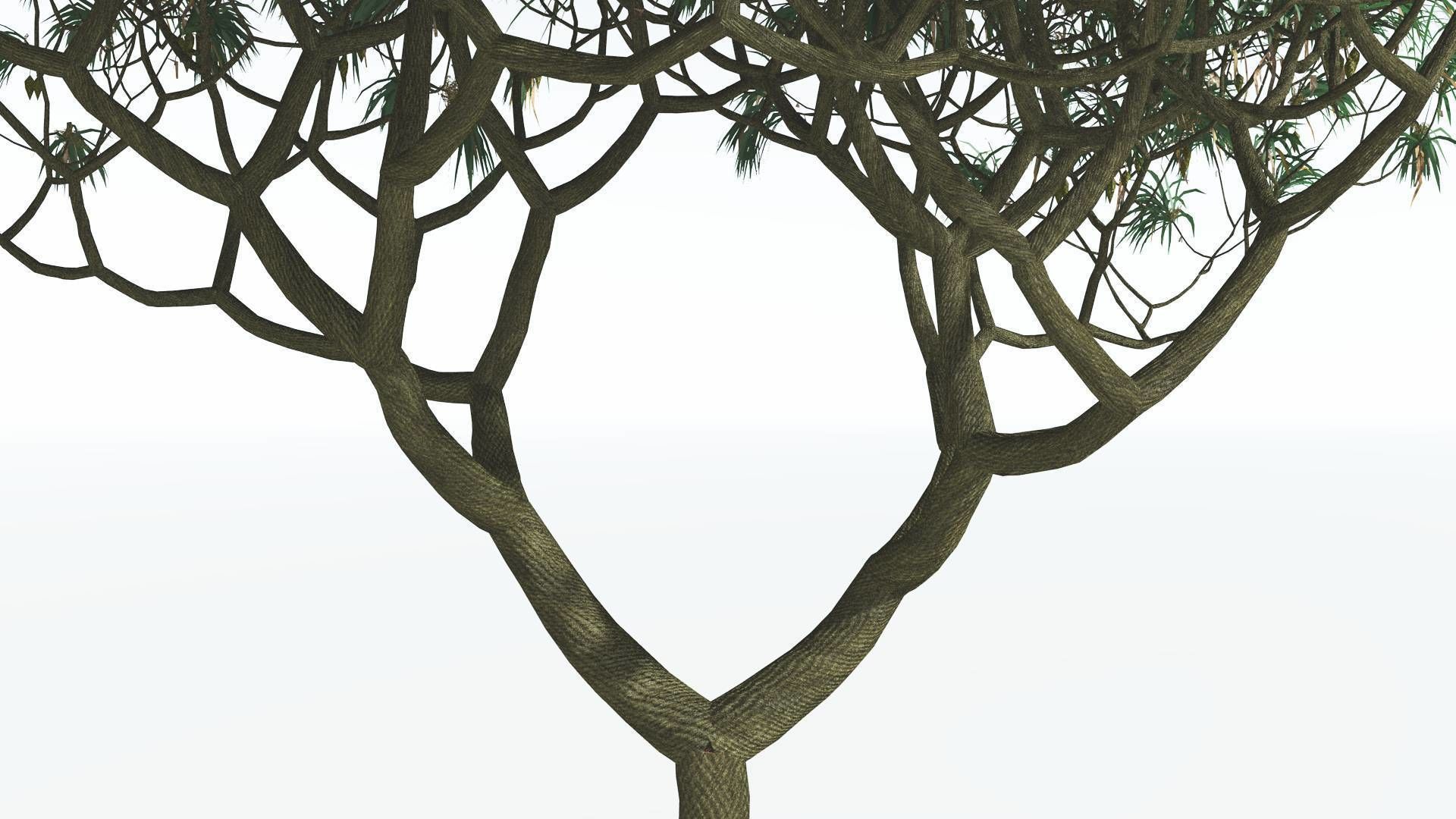 EVERYPlant Lepidodendron Scale Tree 2 --14 Models-- 3D model | CGTrader