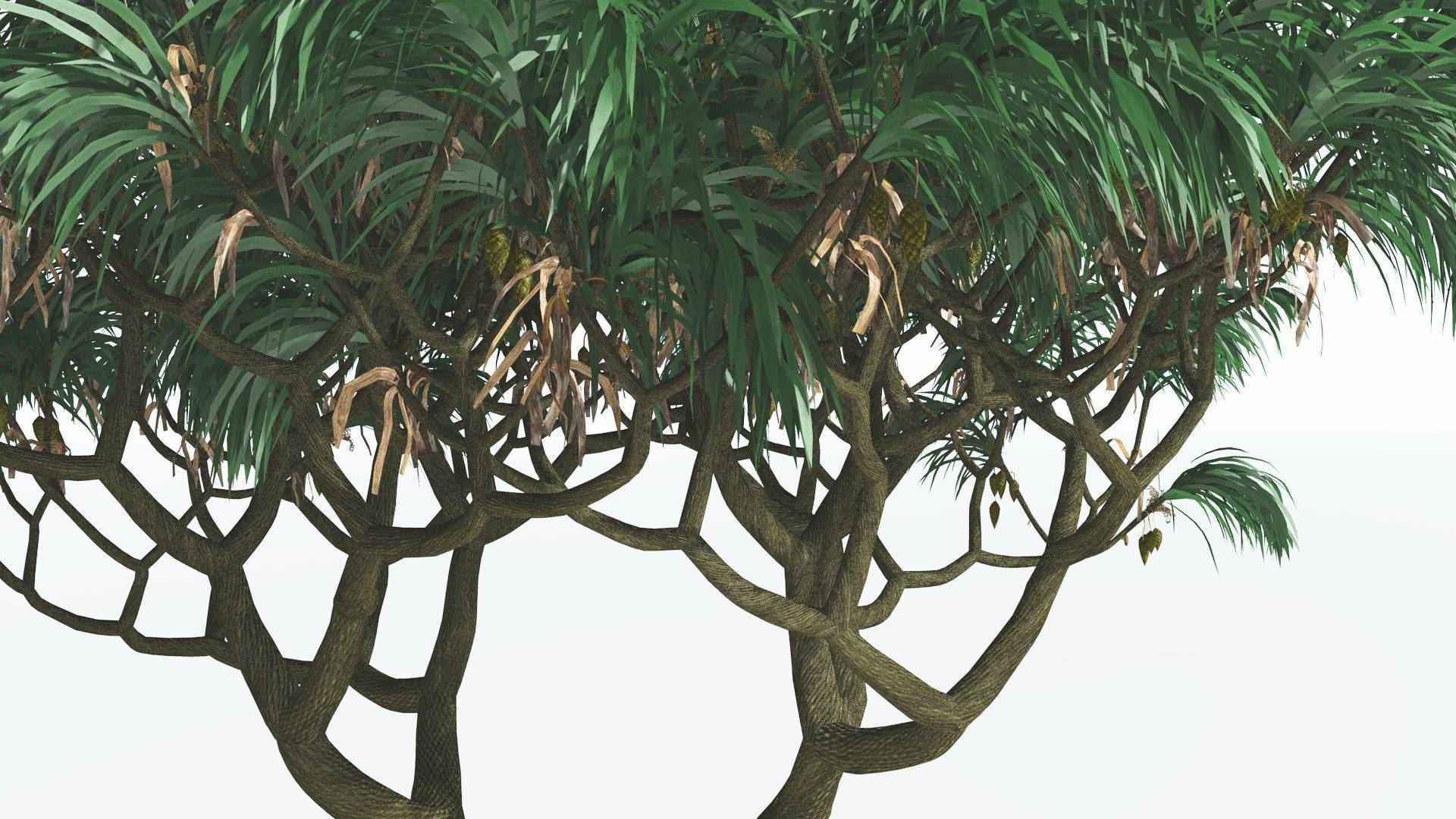 EVERYPlant Lepidodendron Scale Tree 2 --14 Models-- 3D model | CGTrader