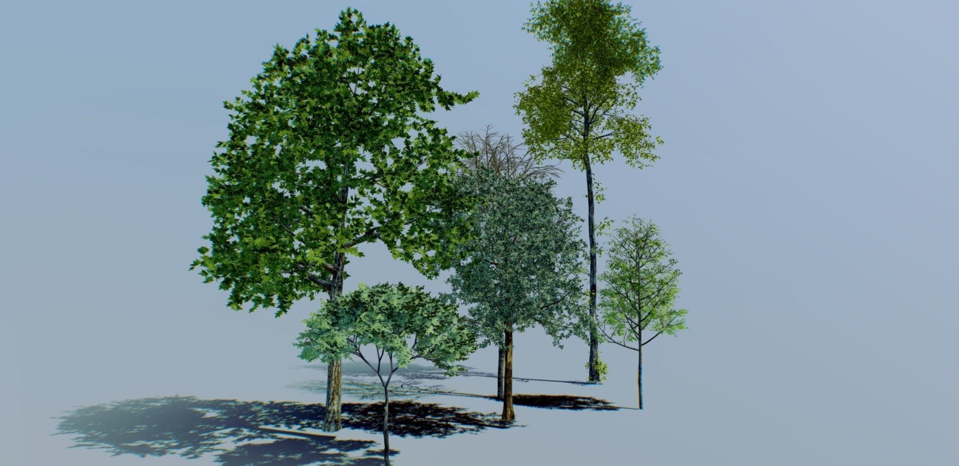 tree pack 02 - free free 3D model | CGTrader