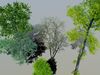 tree pack 02 - free free 3D model | CGTrader