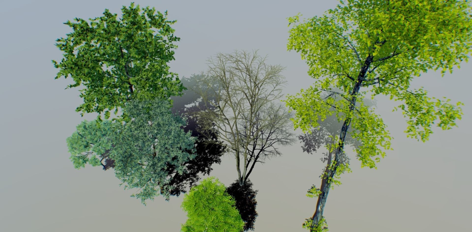 tree pack 02 - free free 3D model | CGTrader